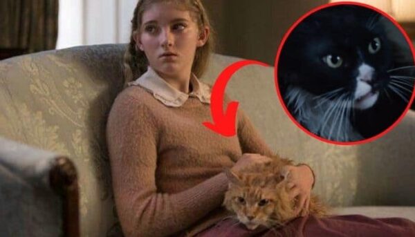 Hunger Games, l’Embrasement : les 6 grosses incohérences du film