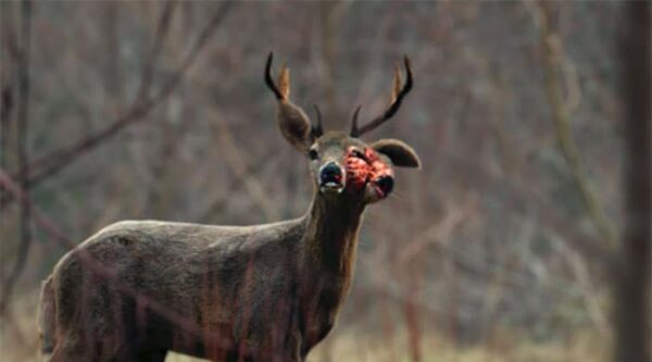 22 réflexions qu’on s’est faites en revoyant le premier épisode de The 100