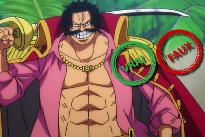 One Piece : quiz, dossiers, news, toutes les infos sur l'anime - Page 5 ...