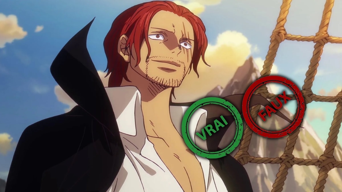 One Piece : seul le nouveau roi des pirates aura 10/10 à ce quiz vrai ...